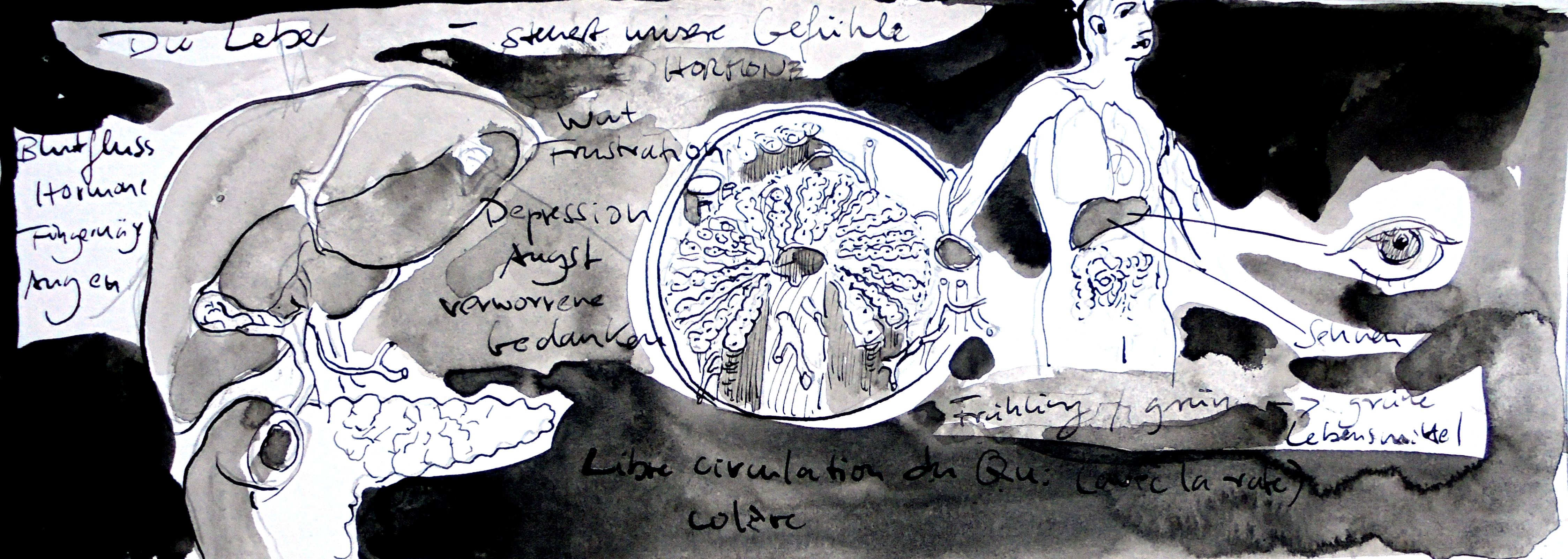 Liver – Thomas Neukirch