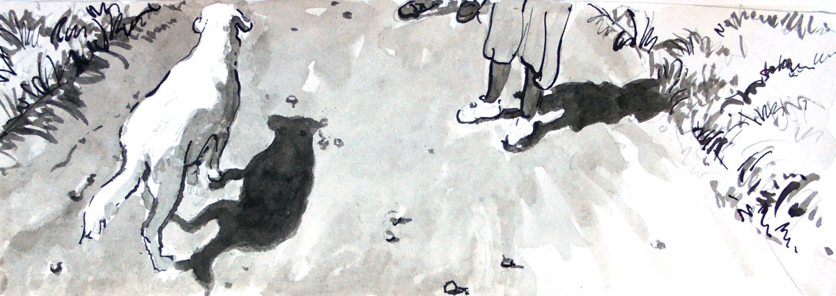 White dog – Thomas Neukirch